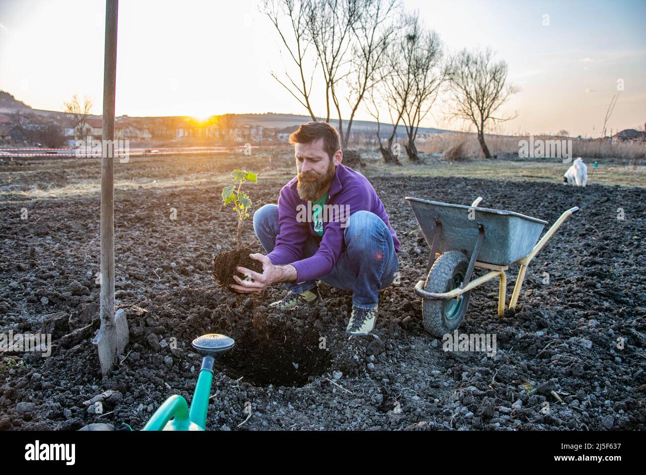 Man planting a tree earth day. Planting a tree in springtime new life ...