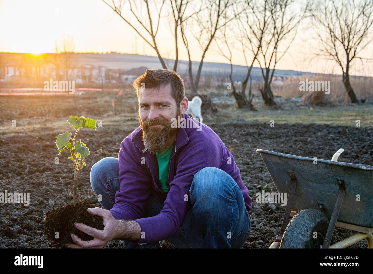 Man planting a tree earth day. Planting a tree in springtime new life ...