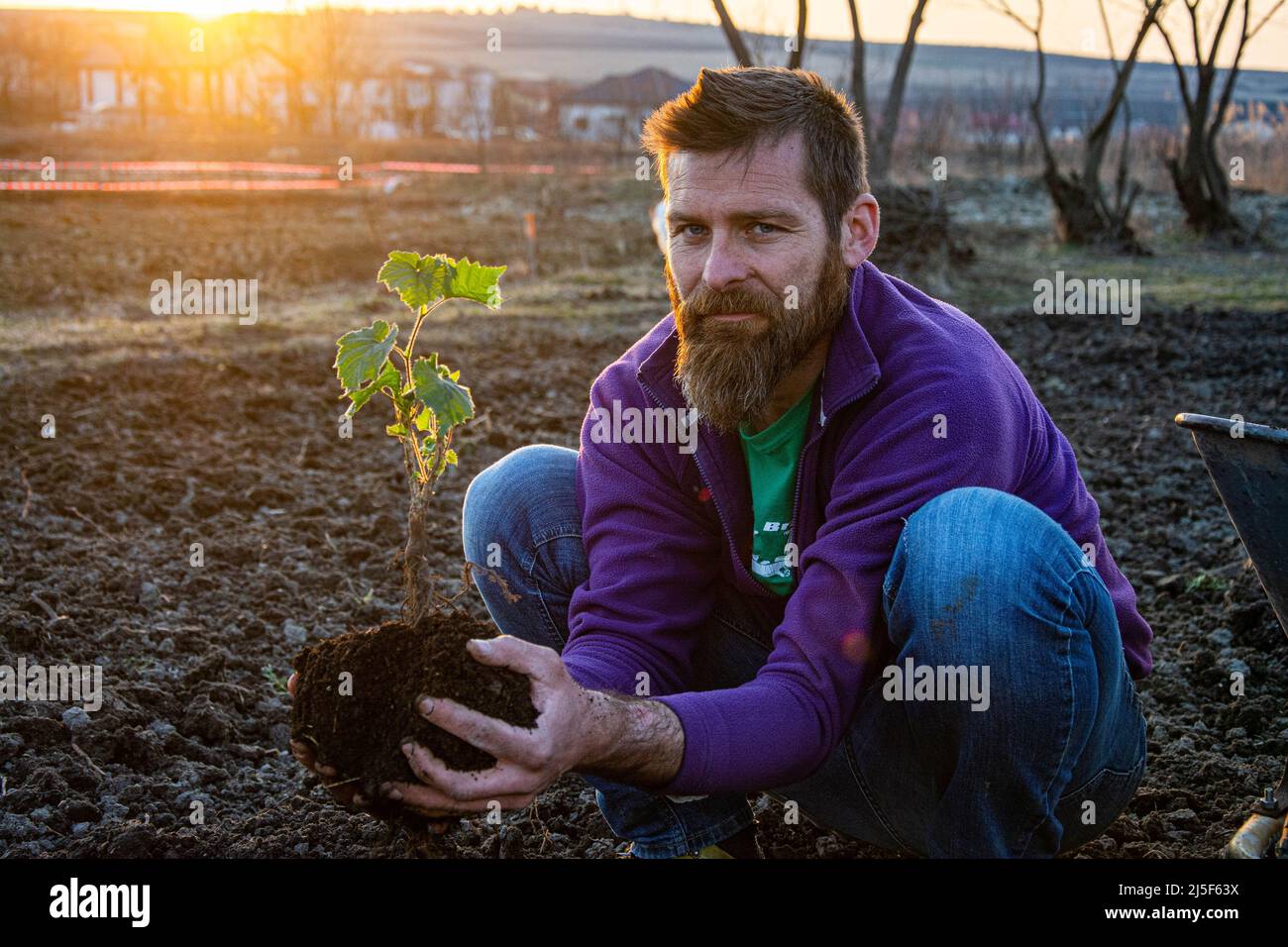 Man planting a tree earth day. Planting a tree in springtime new life ...