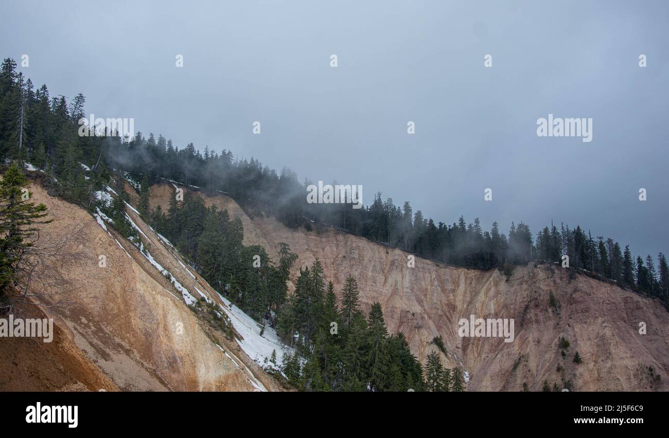 Trees on the mountains of the Apuseni Natural Park in Romania. The ...
