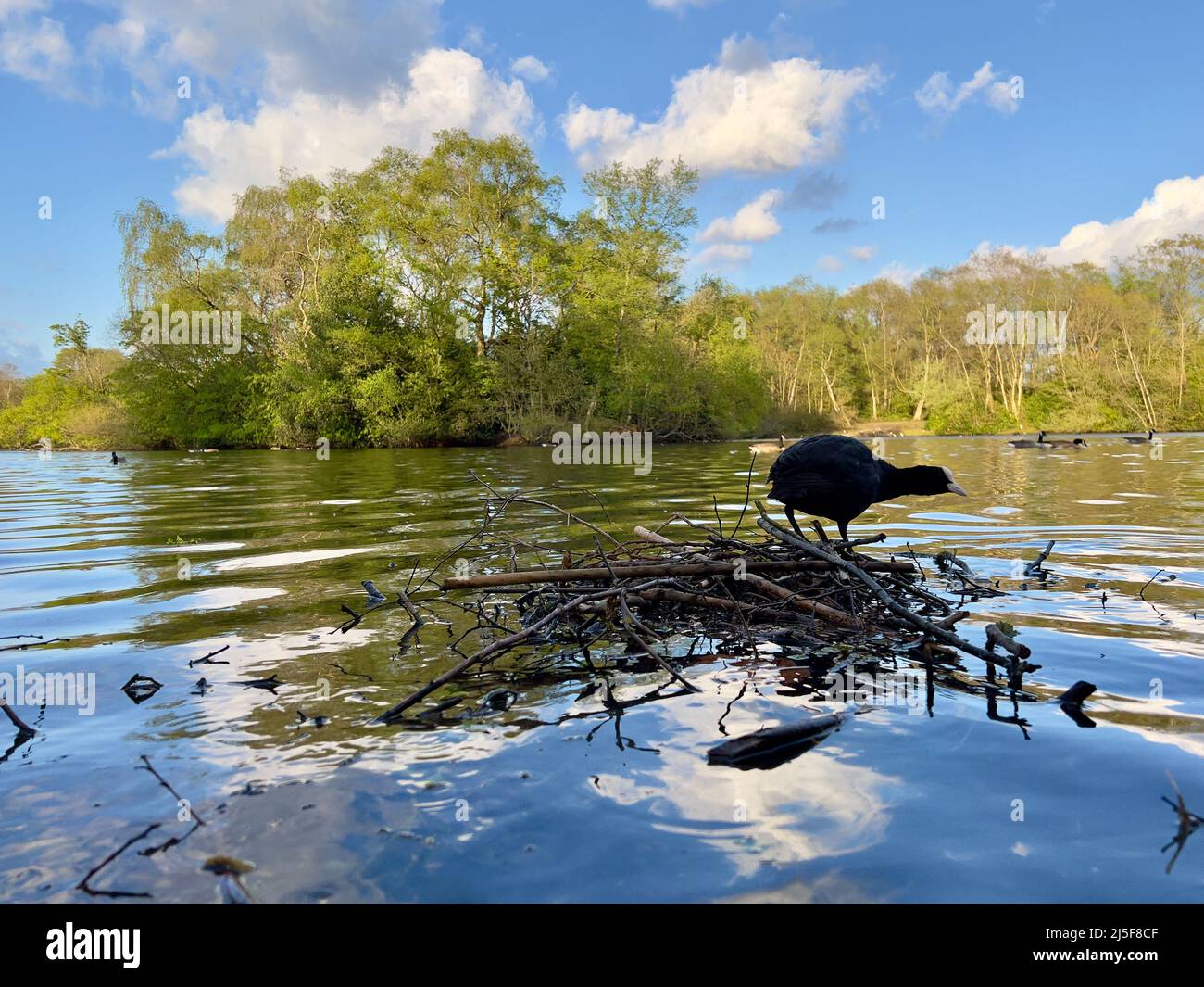 Heaton park scenic summer hi-res stock photography and images - Alamy