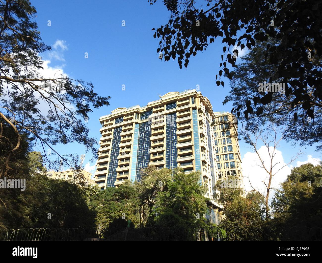 A very high modern building in Egypt surrounded with trees and green ...