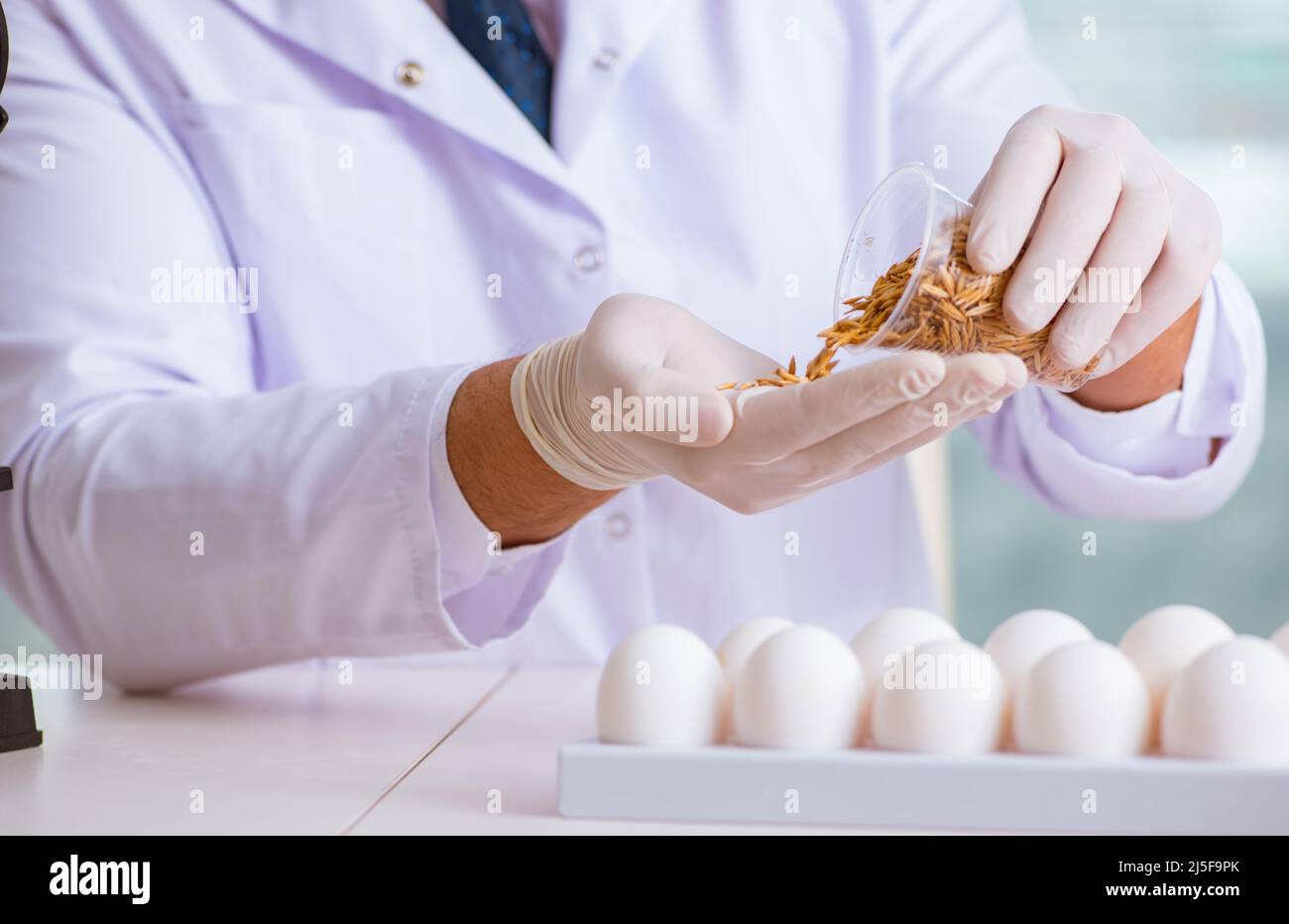 The nutrition expert testing food products in lab Stock Photo - Alamy