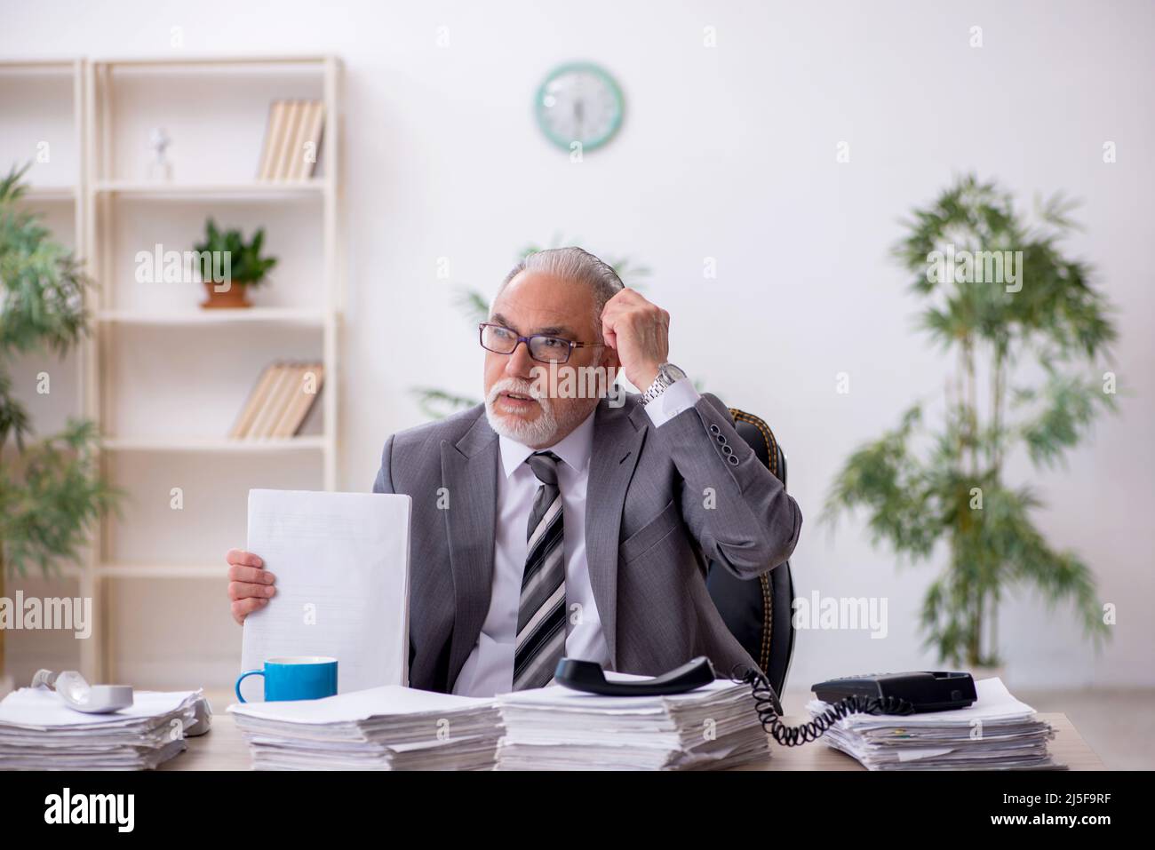 Old businessman employee and too much work at workplace Stock Photo - Alamy