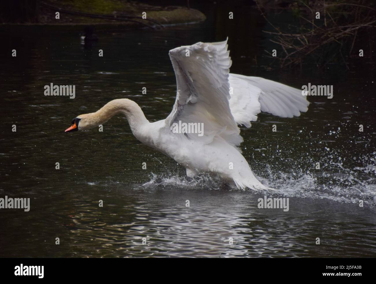 Attack posture hi-res stock photography and images - Alamy