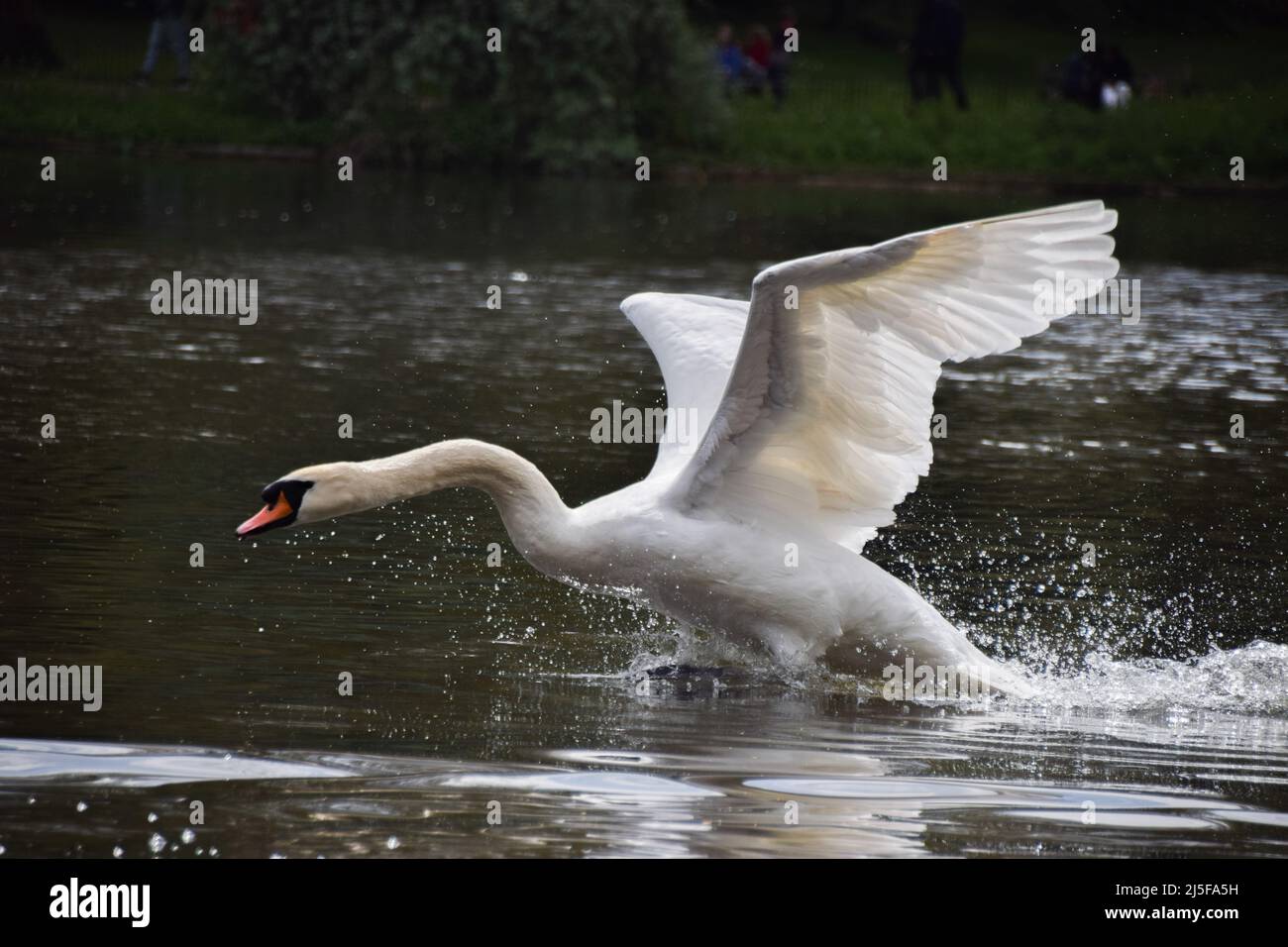 Attack posture hi-res stock photography and images - Alamy