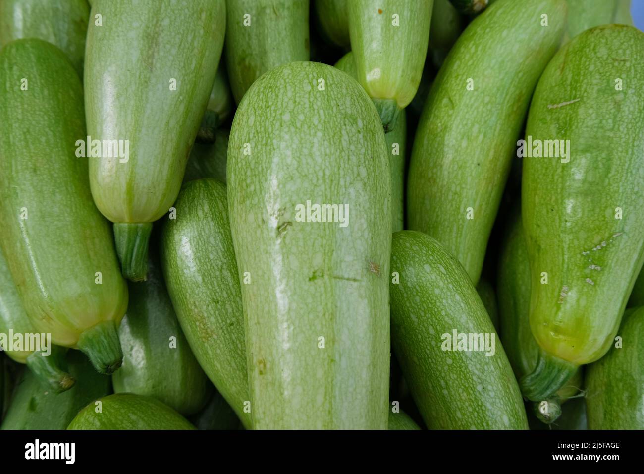 fresh green organic zucchini row from local market. healthy green ...