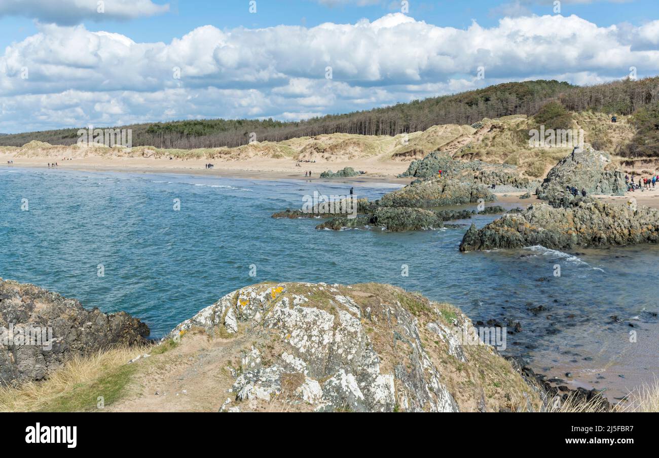 The eroded dunes characteristic of Penrhos beach at Newborough on ...