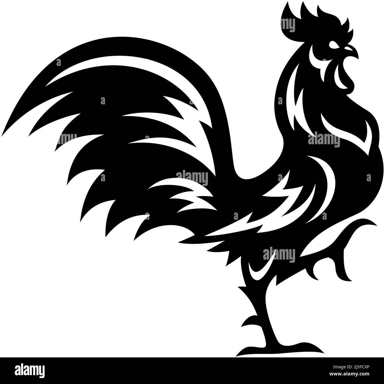 Rooster hand Black and White Stock Photos & Images - Alamy