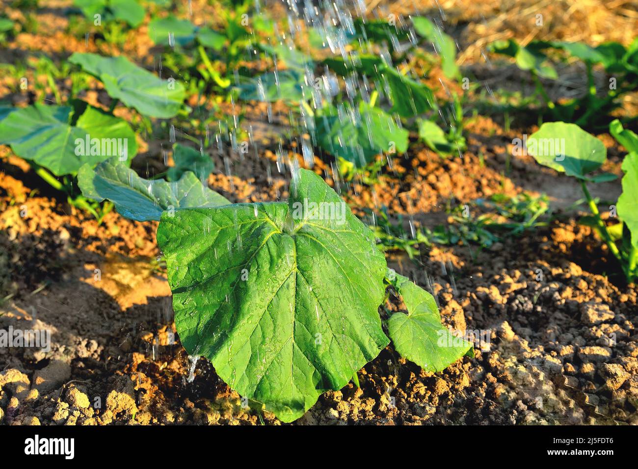 Time jets hi-res stock photography and images - Alamy