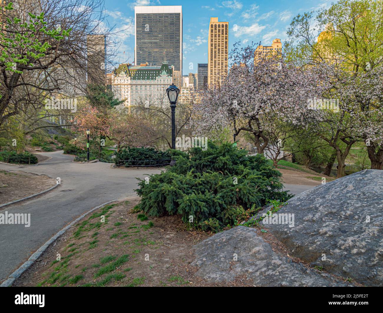 Spring in Central Park, New York City Stock Photo - Alamy