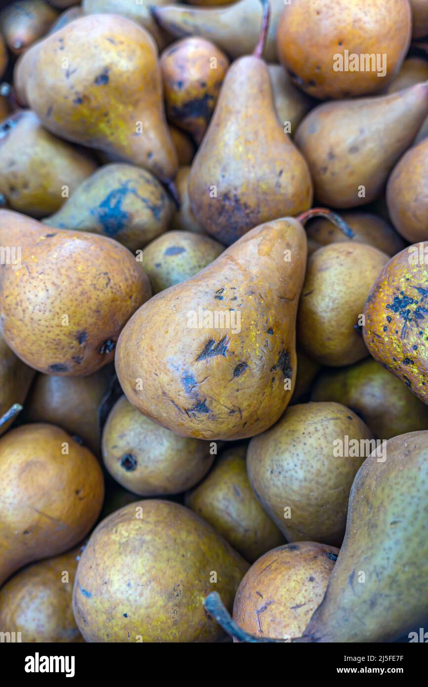 Still life collection of pears Stock Photo - Alamy
