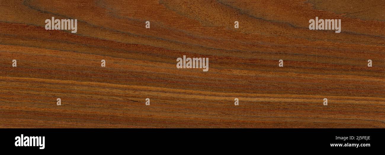 Wood grain texture. Walnut wood, can be used as background Stock Photo ...