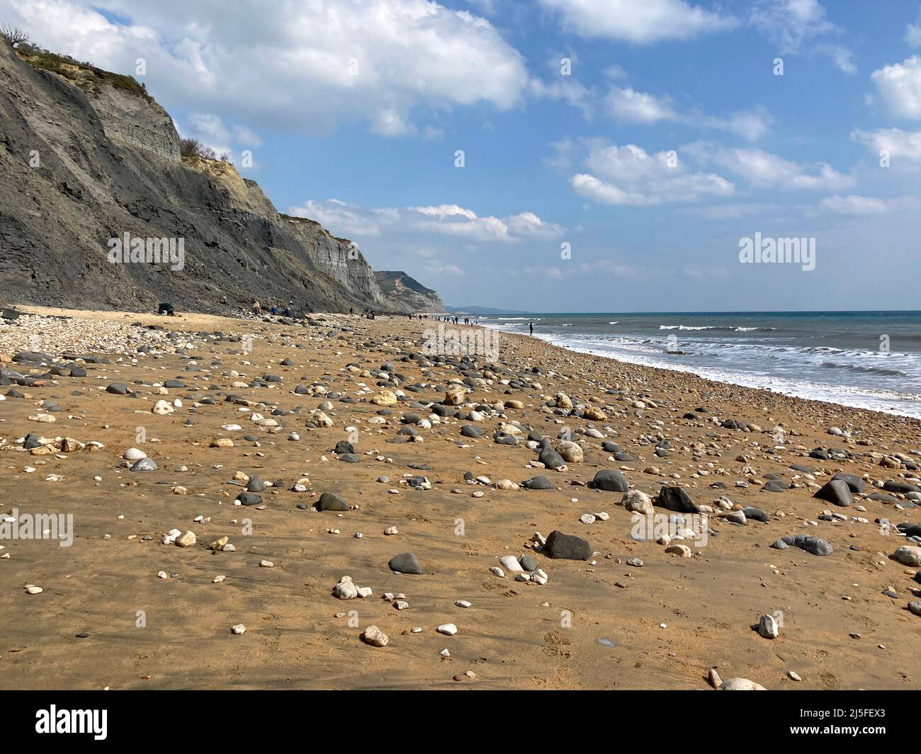 View of East Beach, world renowned for its fossils, and cliffs on the ...