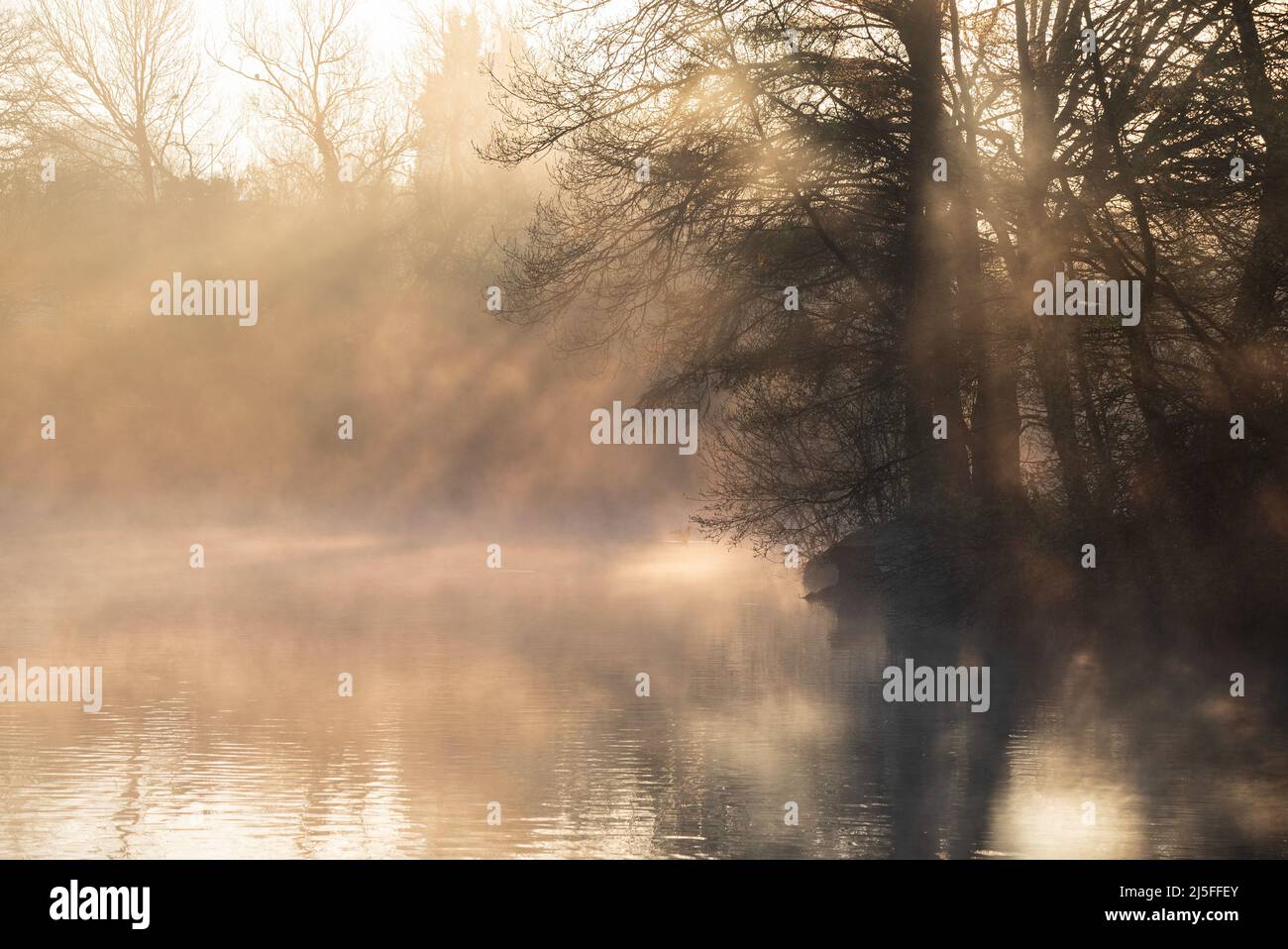 Stunning landscape image of sunrise mist on urban lake with sun beams ...