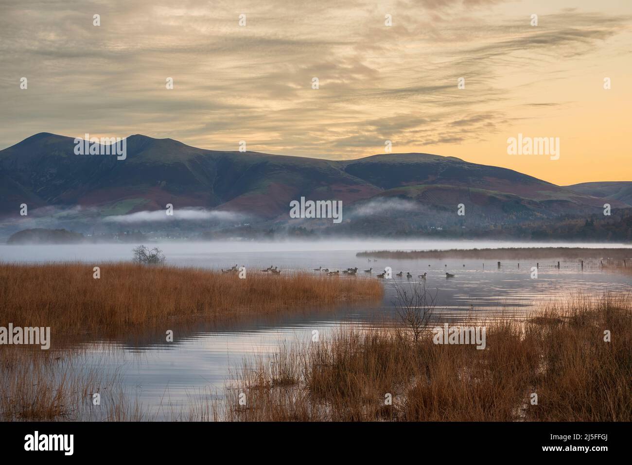 Epic Autumn sunrise landscape image looking from Manesty Park in Lake ...
