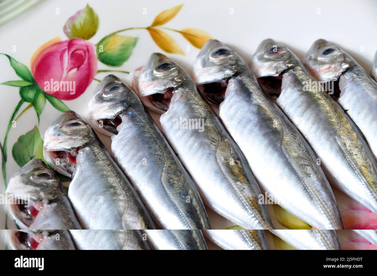 Cleaned and ready to cook fresh fish horse mackerel, istavrit fish, in ...