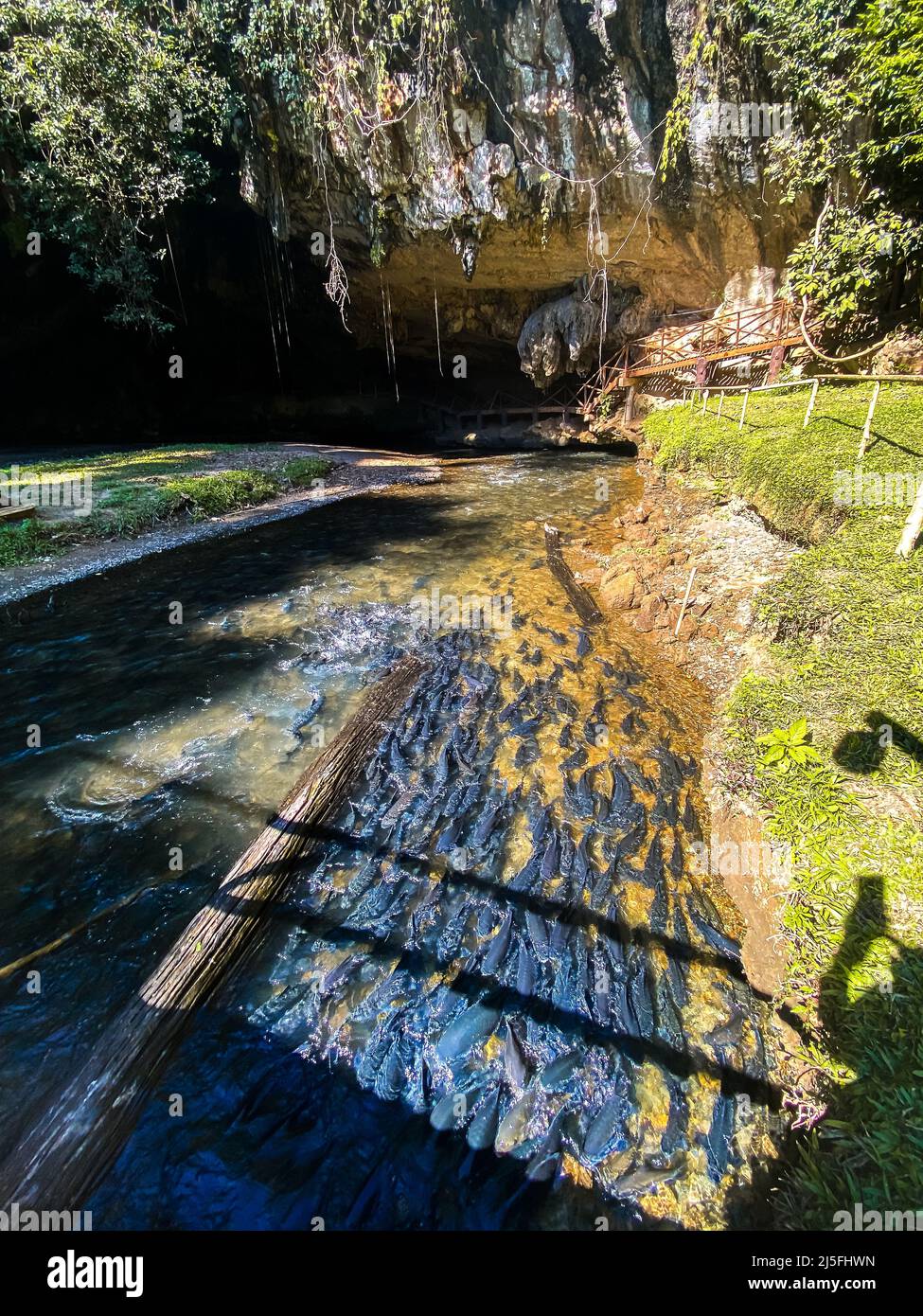 Tham Lod Cave near Pai, in Mae Hong Son, Thailand Stock Photo - Alamy