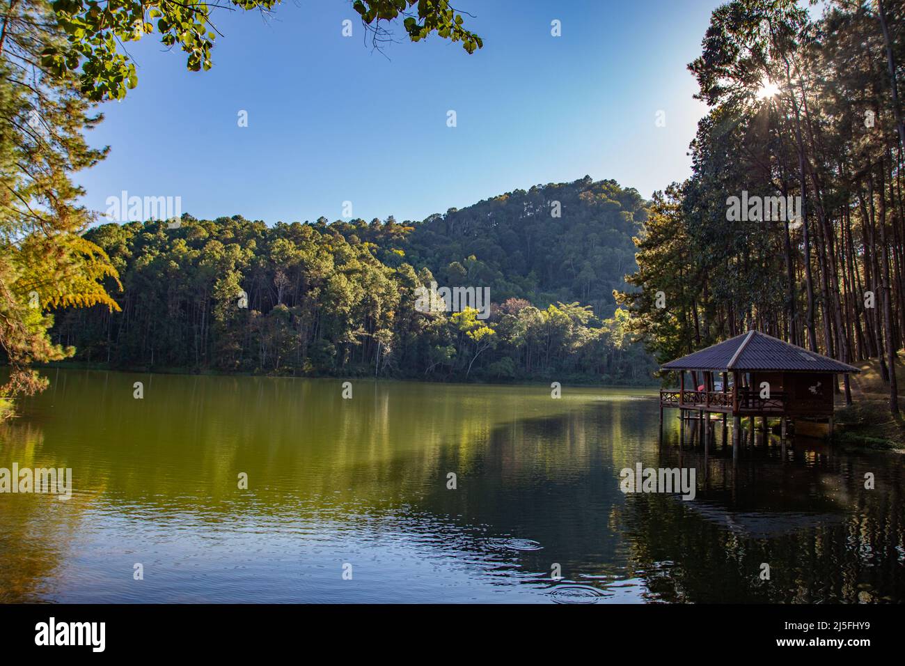 Pang Oung national park, lake and forest of pine trees in Mae Hong Son ...
