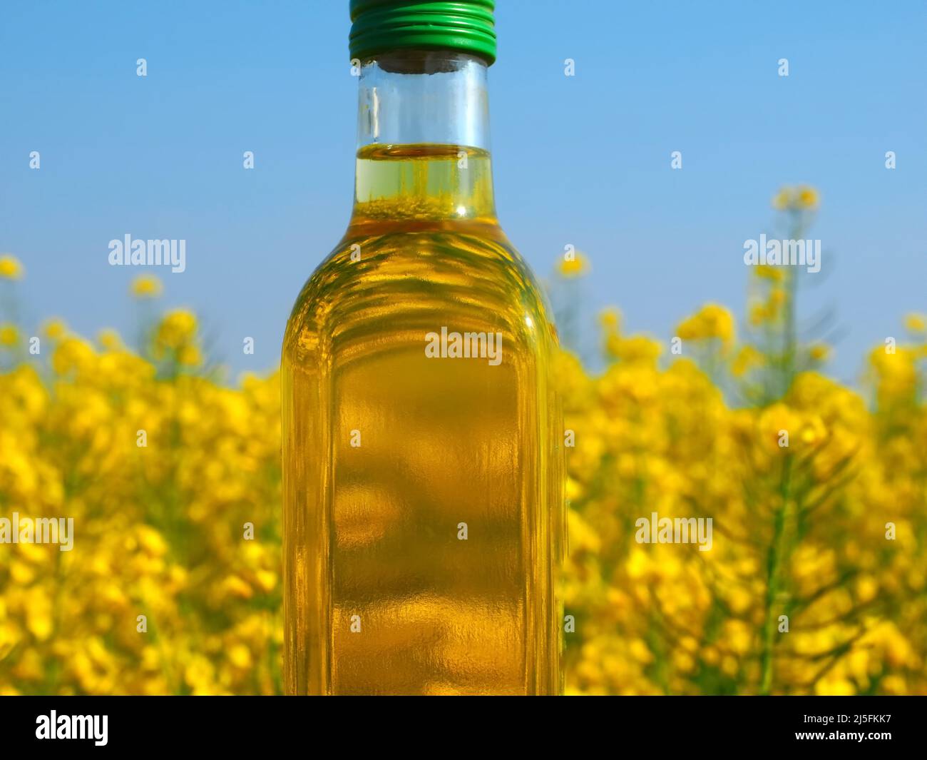 Bottle with Canola oil in front of a rapeseed field Stock Photo - Alamy