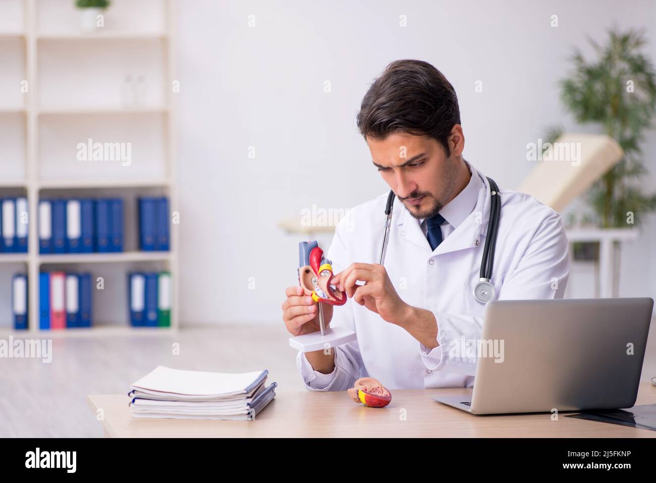 Young doctor cardiologist working in the clinic Stock Photo - Alamy