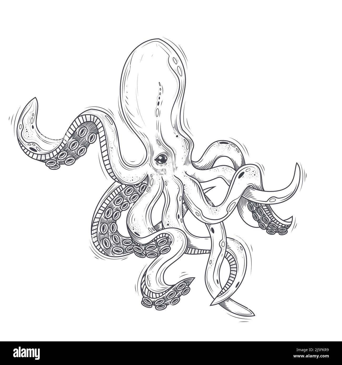 Vector illustration of an octopus painted in an engraving style ...