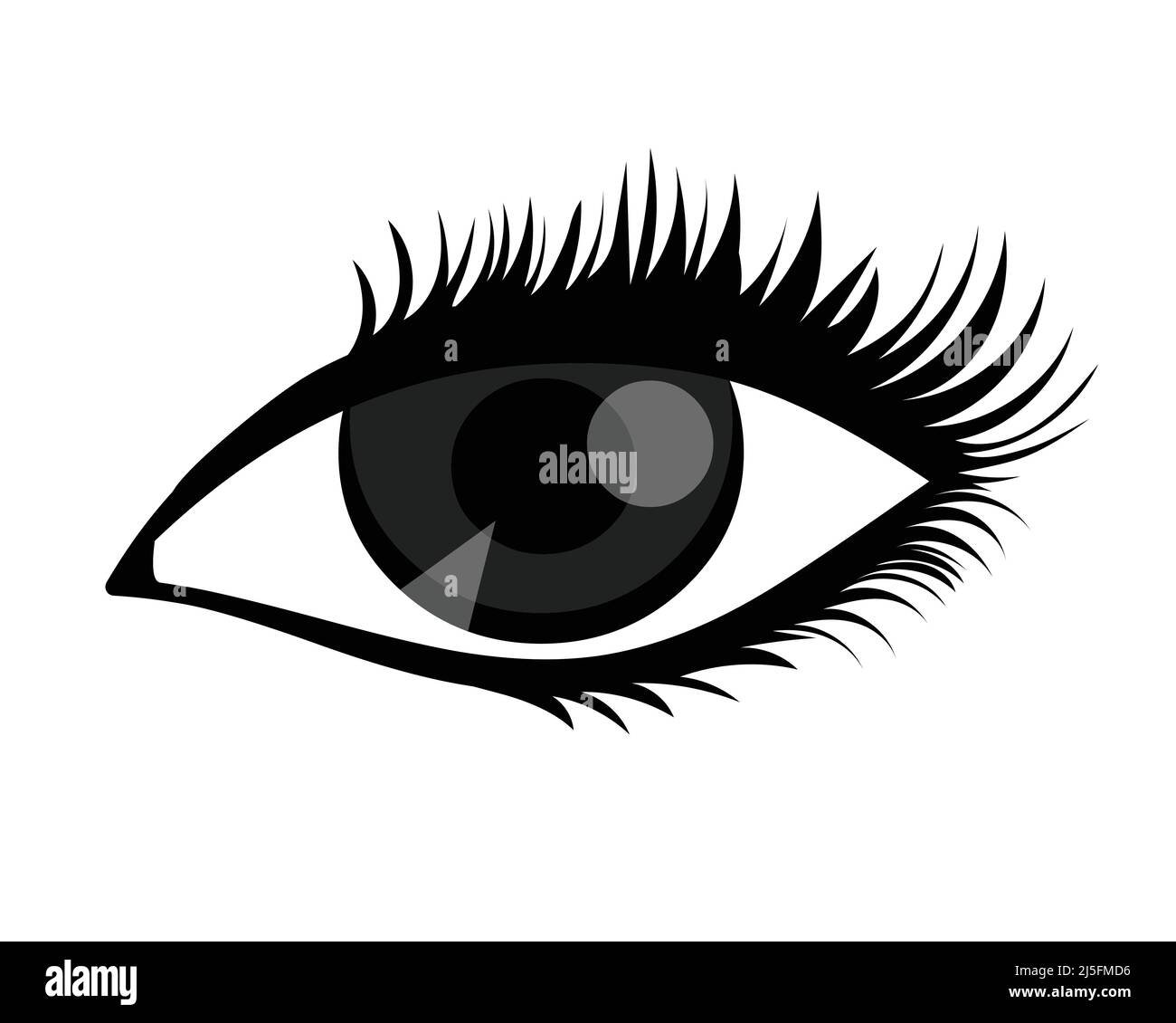 Beautiful Eye vector illustration Isolated Stock Vector Image & Art - Alamy