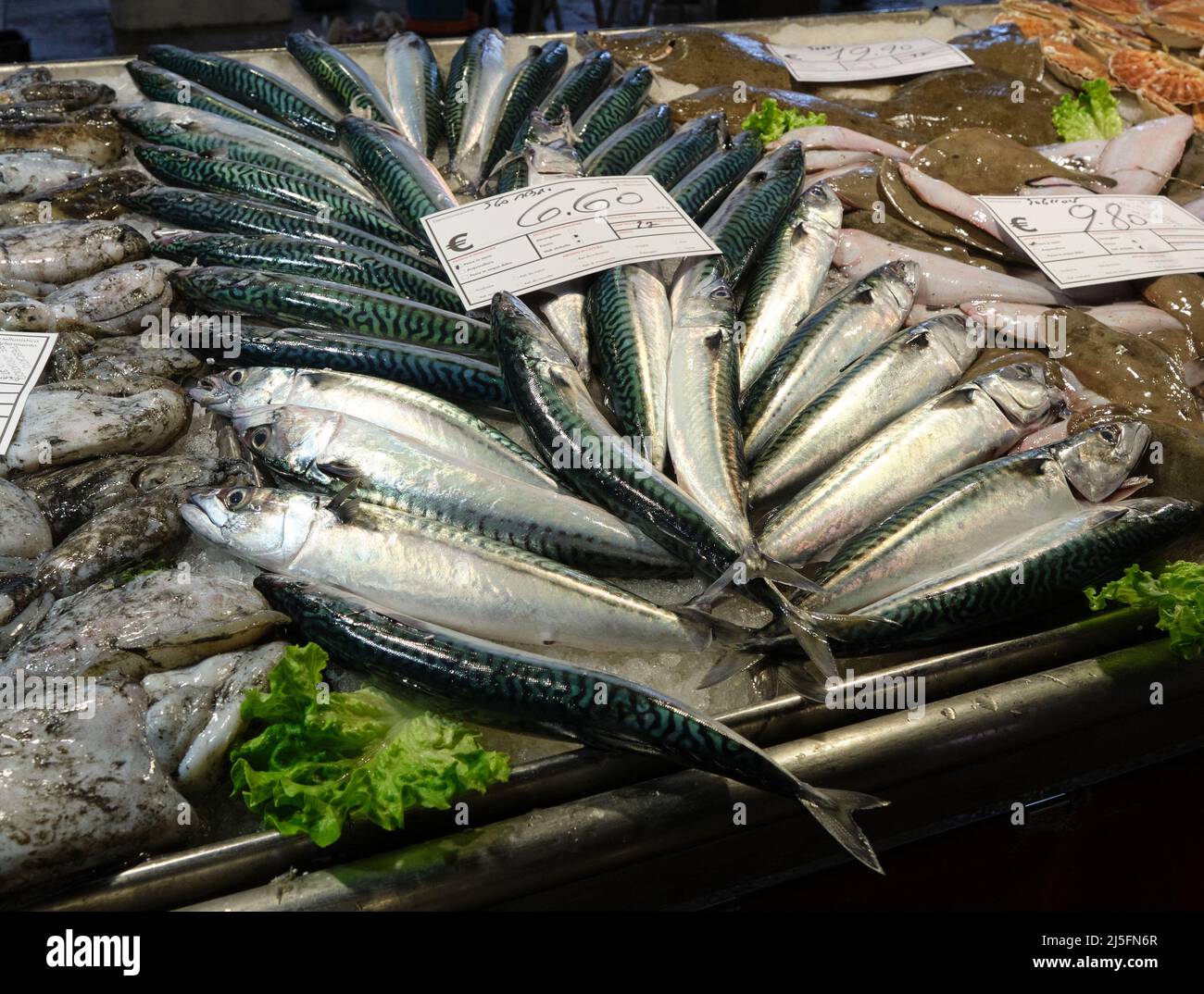 Fish and cuttlefish on display at a fresh fish market in Venice, Italy ...