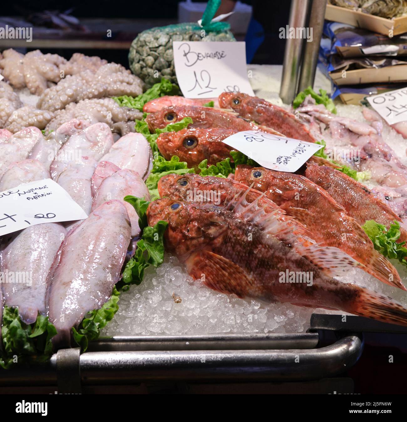 Fish and cuttlefish on display at a fresh fish market in Venice, Italy ...