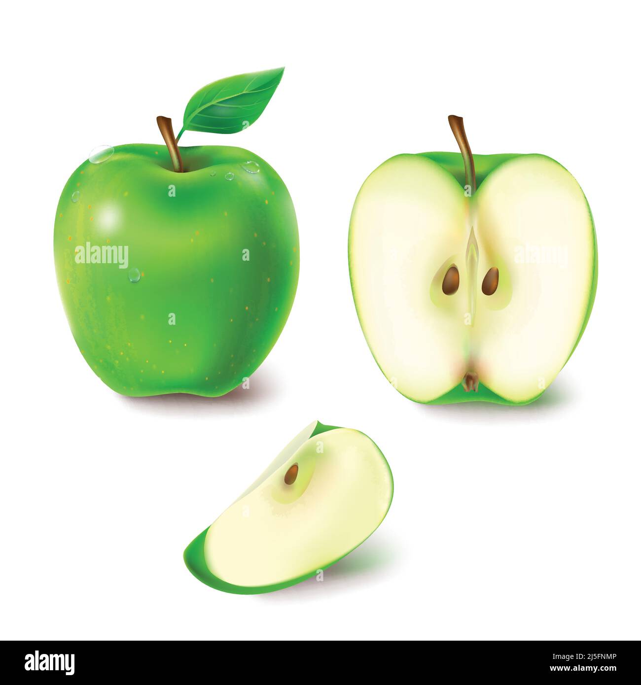 Vector illustration of a juicy green apple. A set of images of the ...
