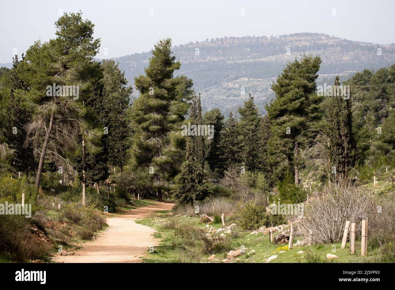 Scenes from Jerusalem Stock Photo - Alamy