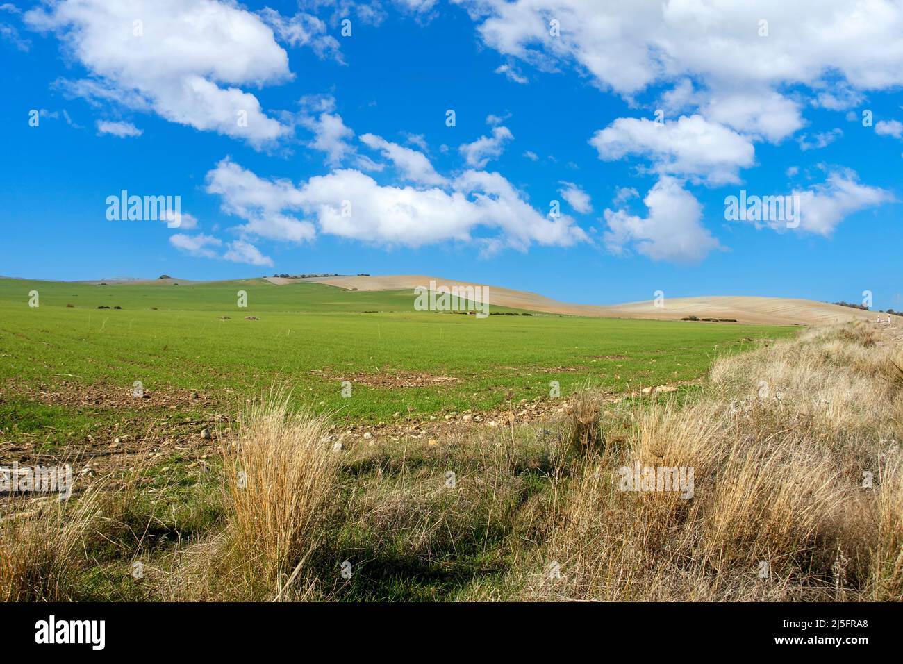 Contrast between blue and green colours hi-res stock photography and ...