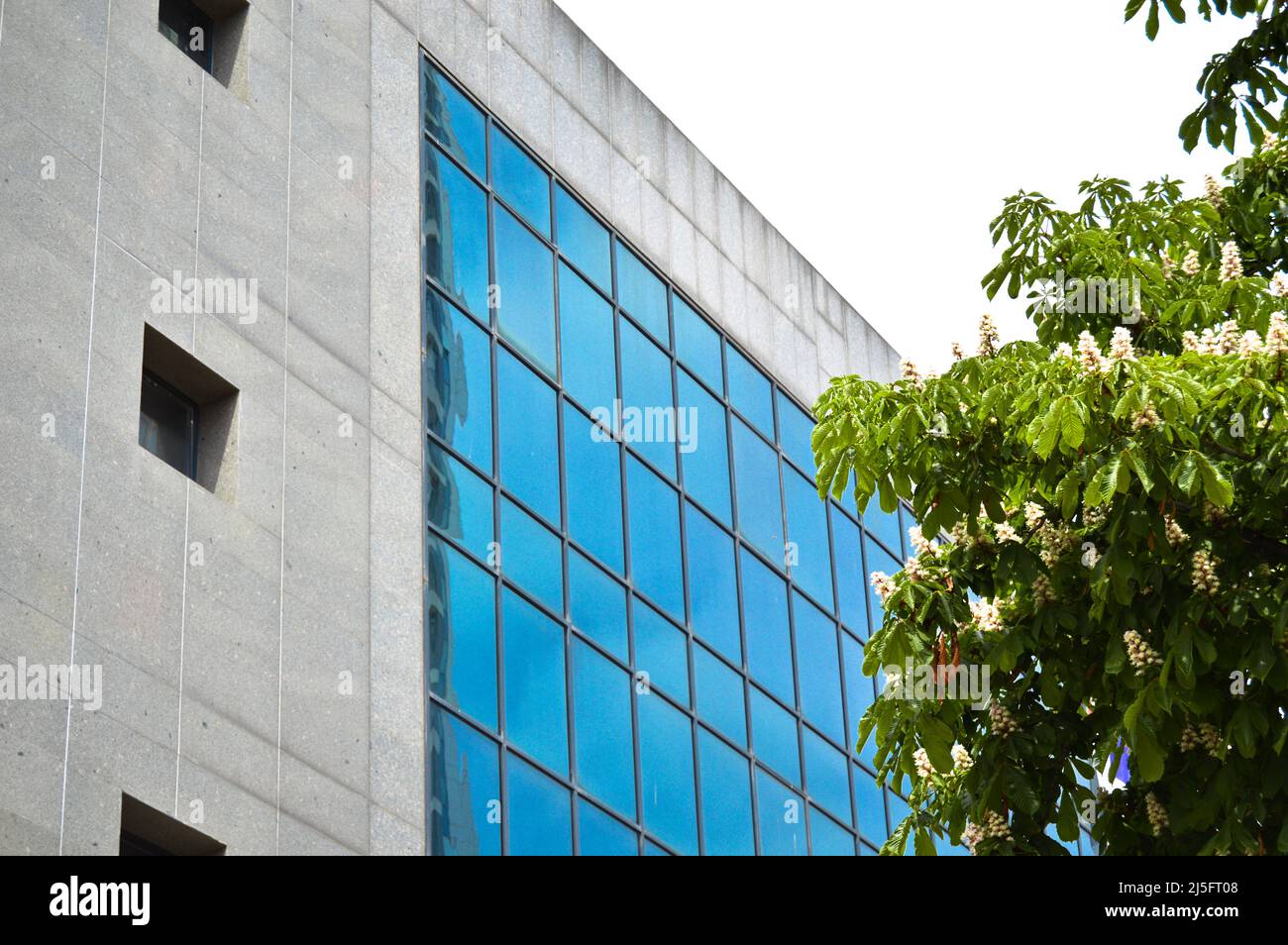 Business center, institutional glass tower, Modern glass building ...