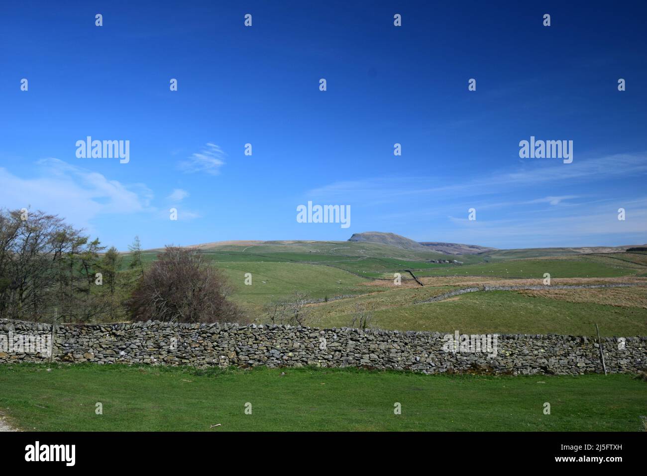 Spring day out walking in the Yorkshire dales Stock Photo - Alamy