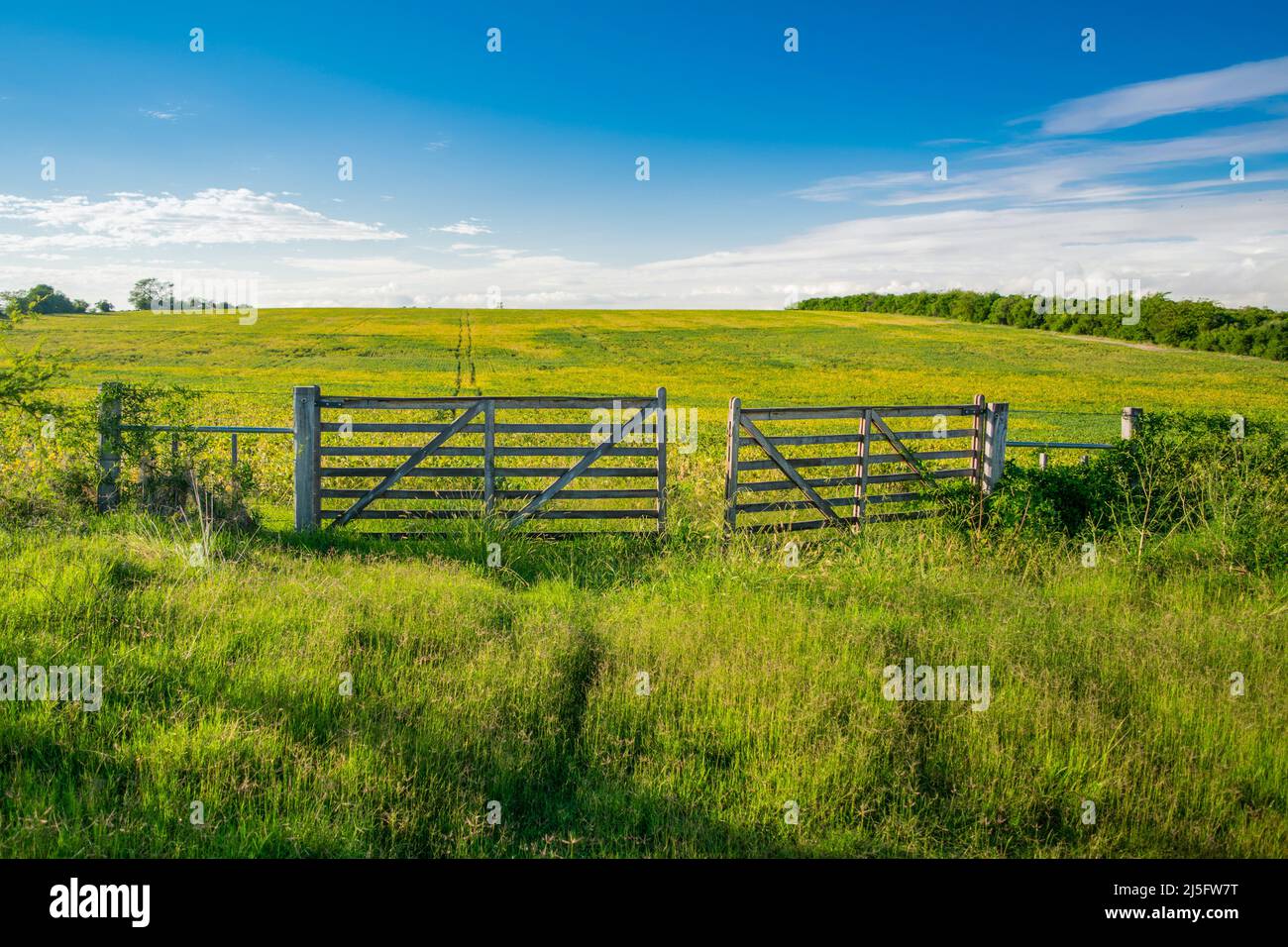 Open gate in a green farm field Stock Photo - Alamy
