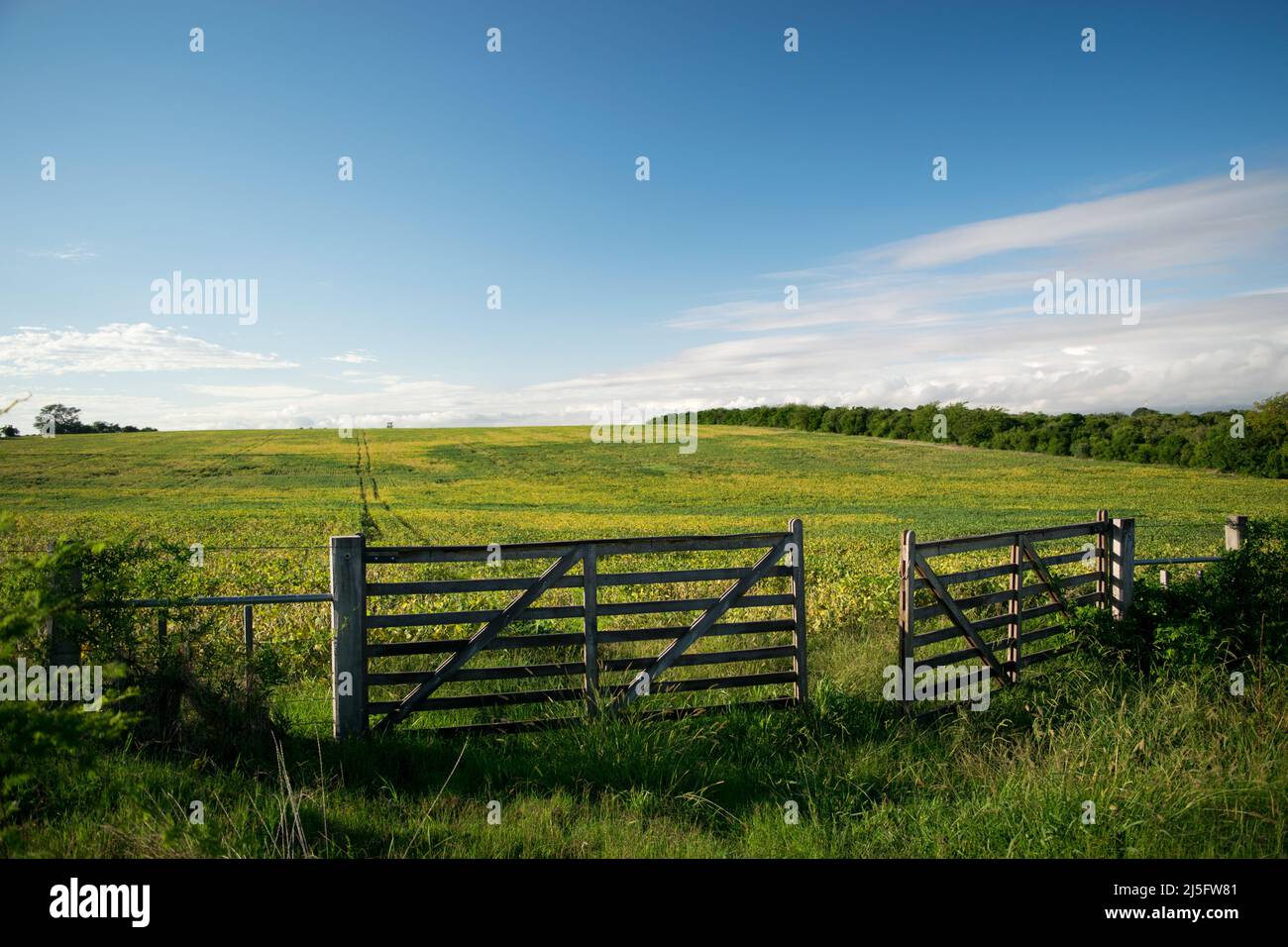 Open gate in a green farm field Stock Photo - Alamy