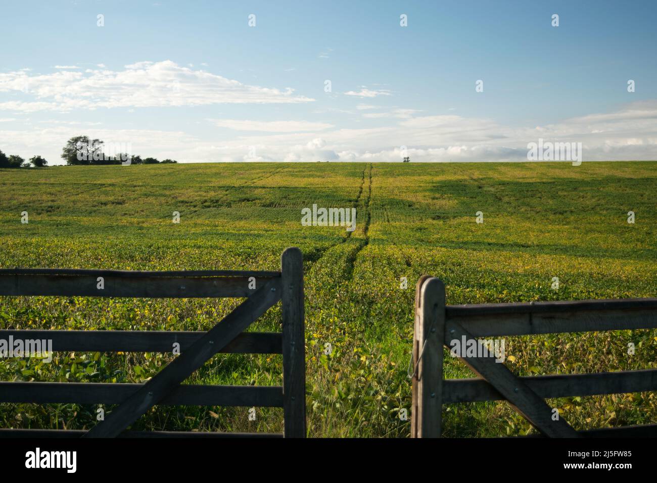 Open farm gate hi-res stock photography and images - Alamy