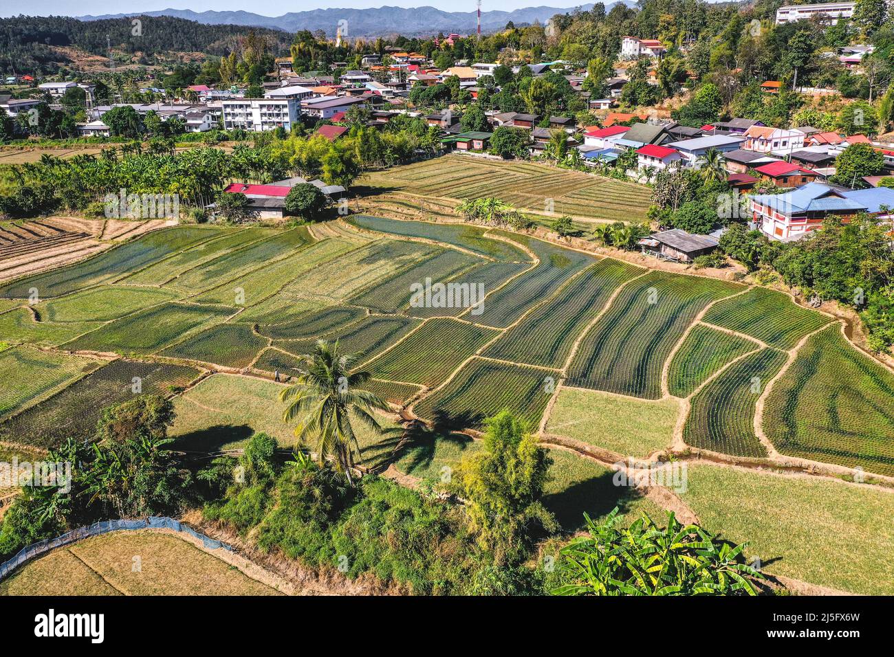 Mae la noi hi-res stock photography and images - Alamy