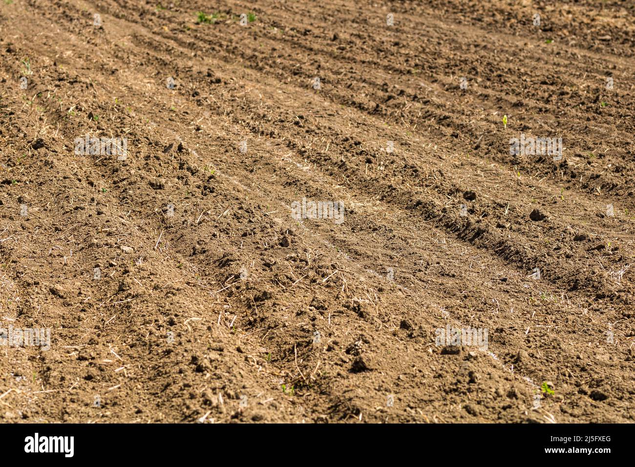 Freshly ploughed ground of a field in a village, in spring season Stock ...