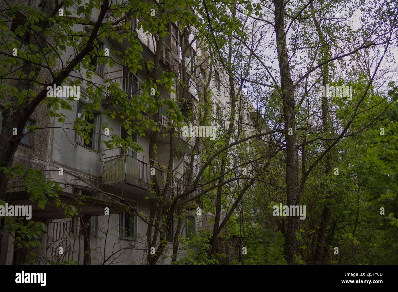 Houses in Chernobyl town in the Ukraine 2019 Stock Photo - Alamy