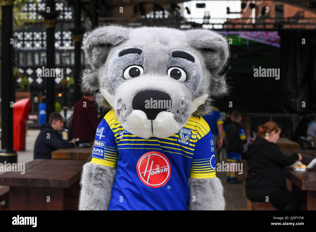 Warrington wolves mascot hi-res stock photography and images - Alamy