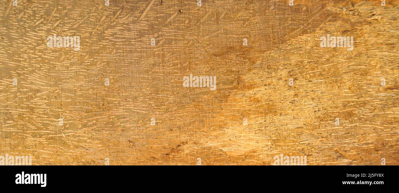 Wood grain texture. Palm tree wood, can be used as background, pattern ...