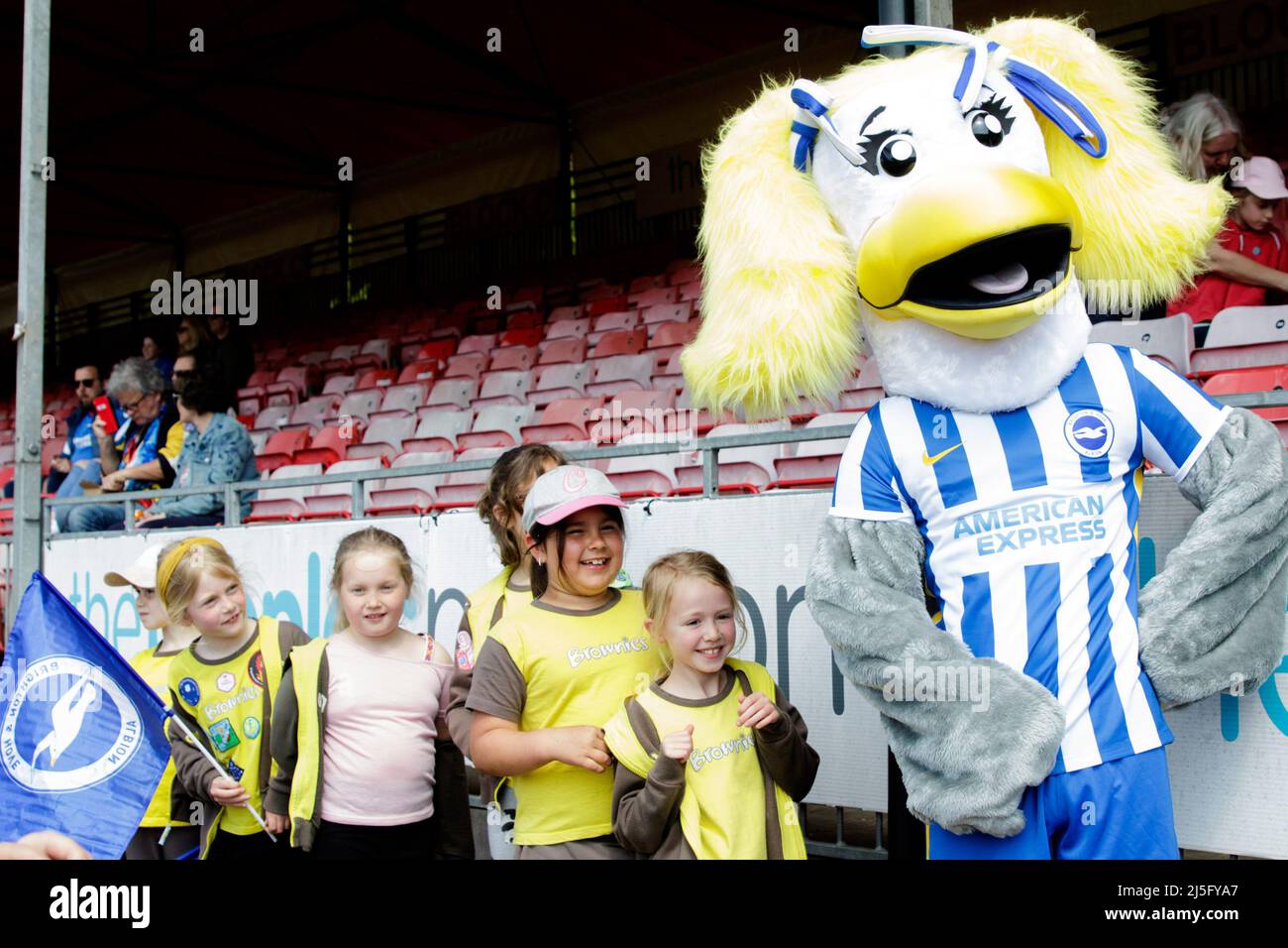 Brighton and hove albion mascot hi-res stock photography and images - Alamy