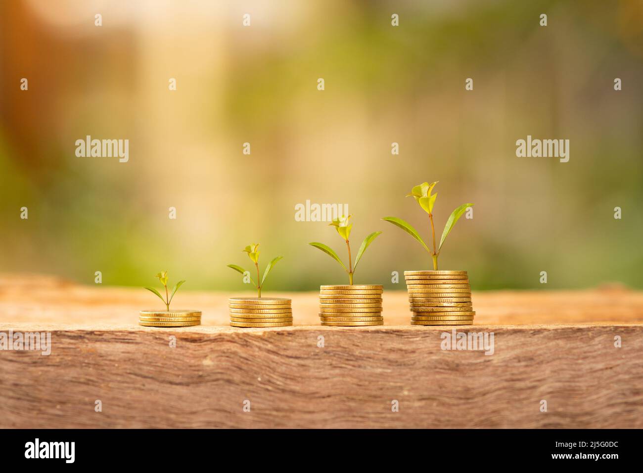 Money grows on trees hi-res stock photography and images - Alamy