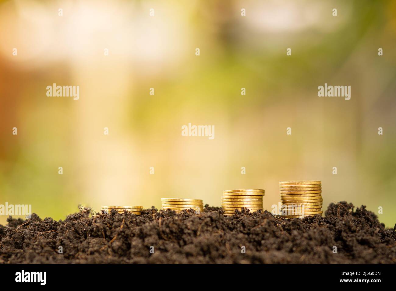 Coins on the ground, finance and investment ideas Stock Photo - Alamy
