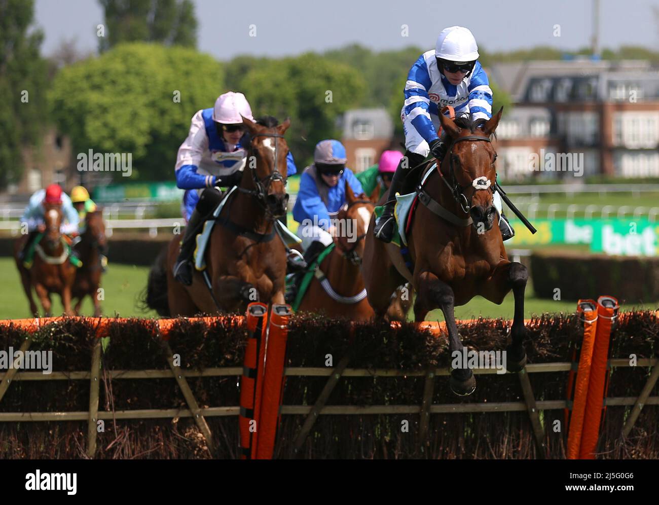 Knappers hill horse hi-res stock photography and images - Alamy