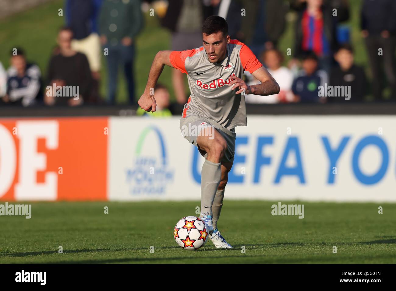 Simic roko hi-res stock photography and images - Alamy