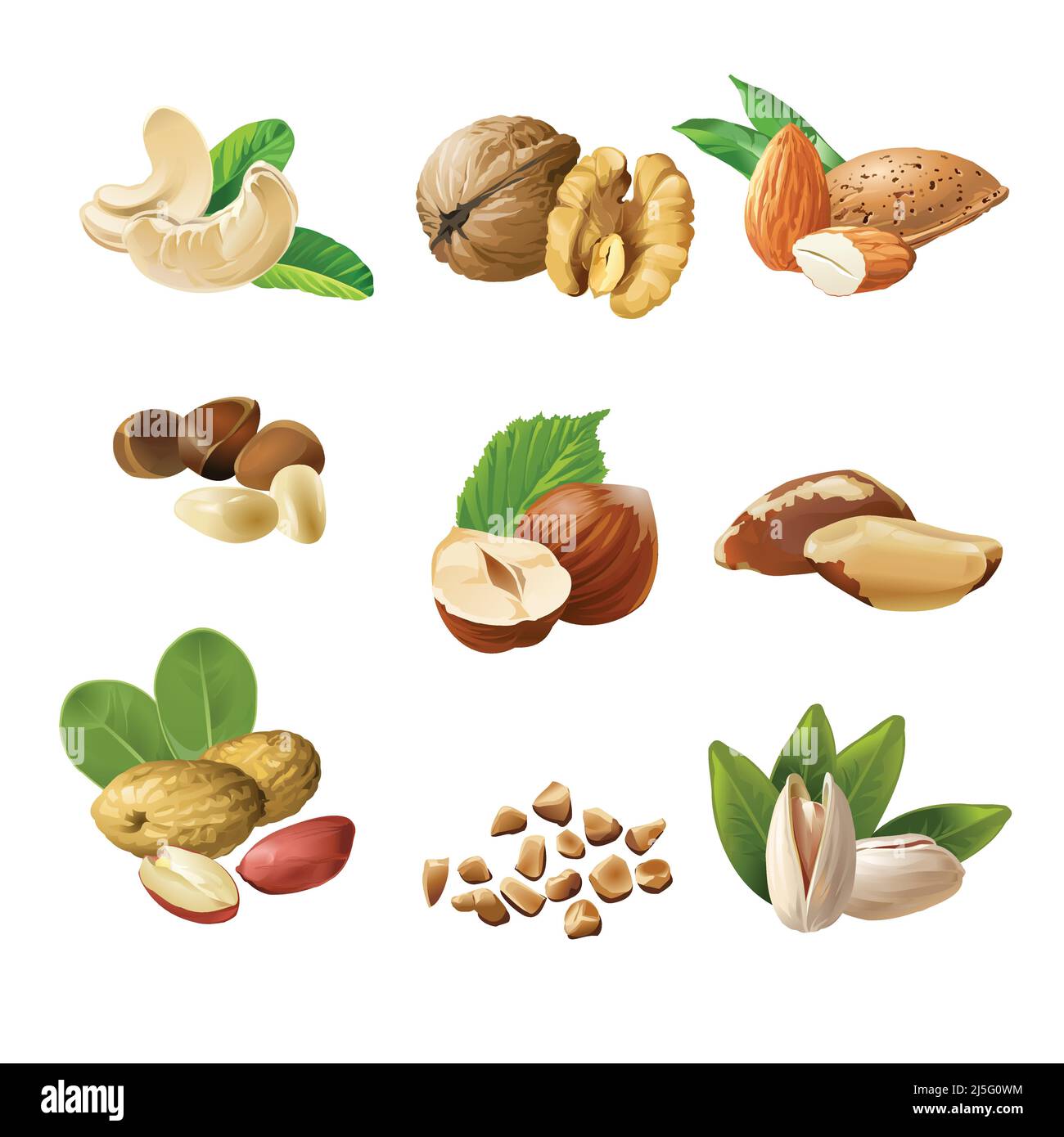 Set of vector icons of nuts - cashews, walnuts, almonds, pine nuts ...