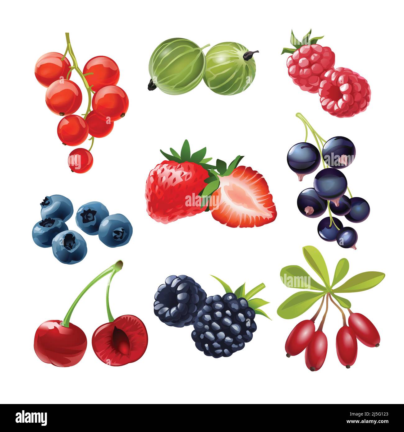 Set of vector icons of juicy ripe berries red and black currants ...