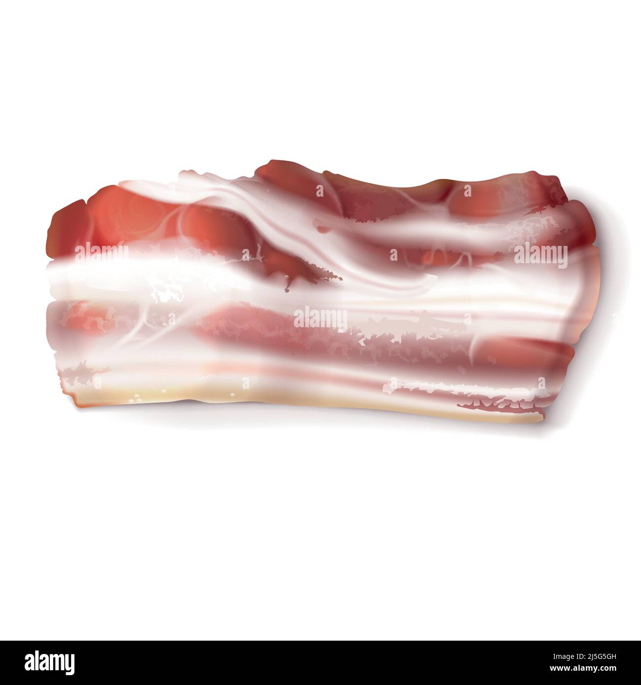 Vector realistic illustration of thin bacon strip, rasher, fresh, raw ...